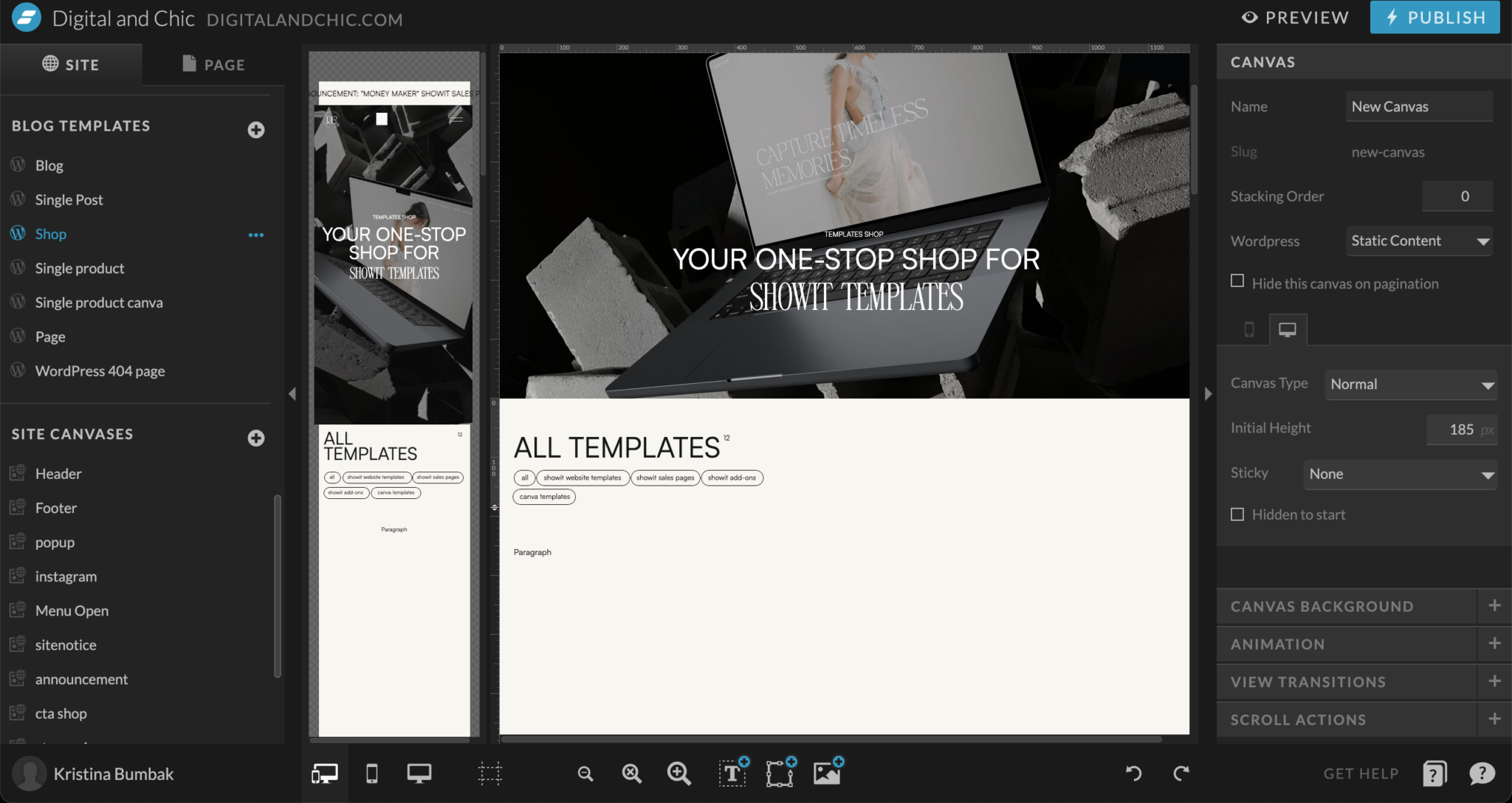 Showit for E-commerce: A Personal Journey and Guide for Showit shop - digitalandchic.com